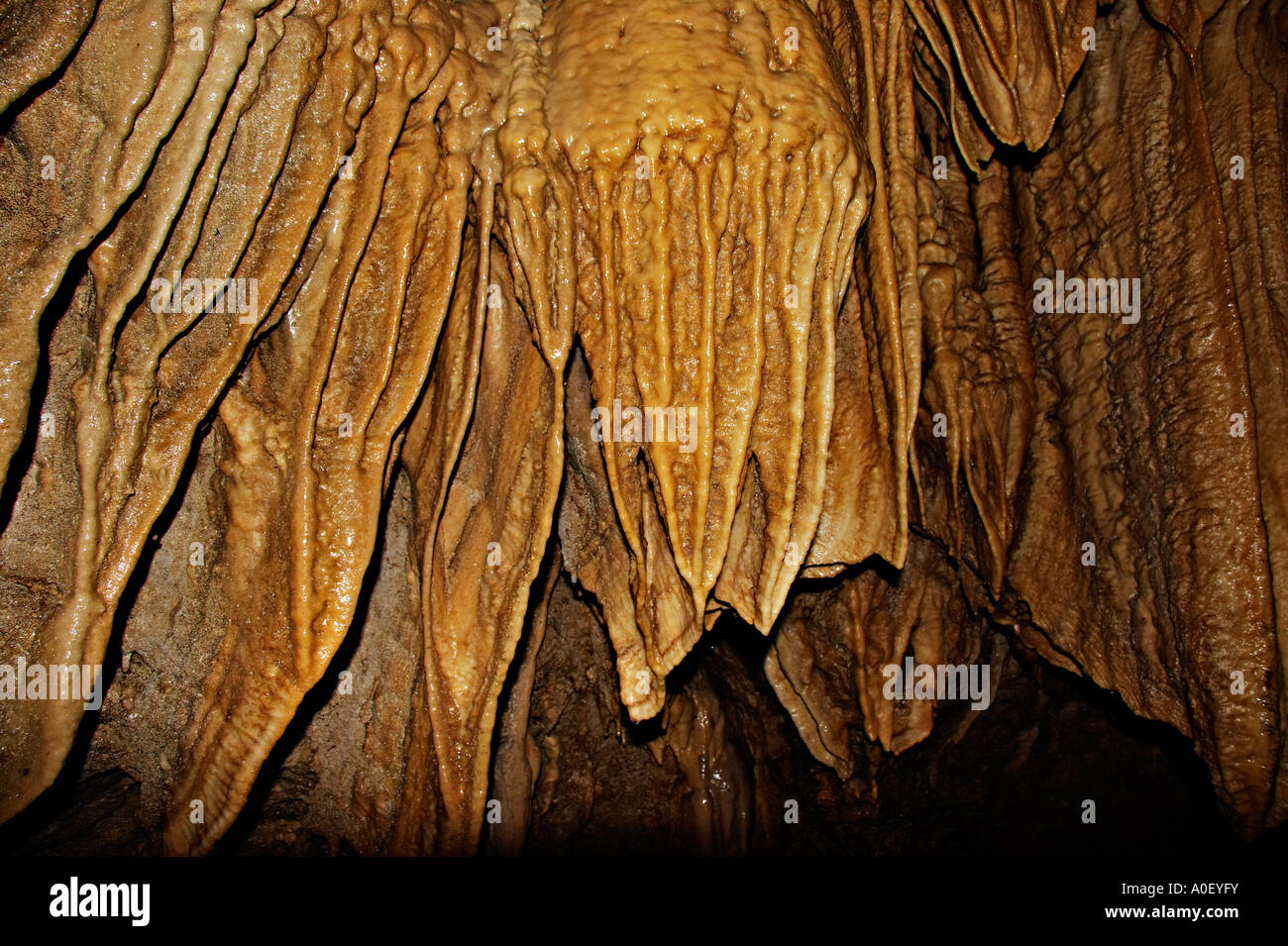 Waitomo glow worm caves hi-res stock photography and images - Alamy