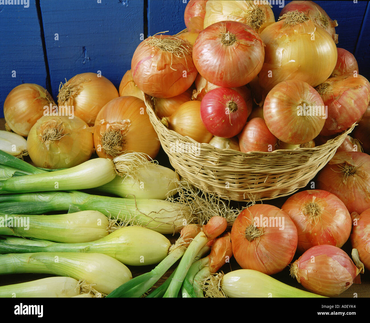 Harvested blue onion hi-res stock photography and images - Alamy