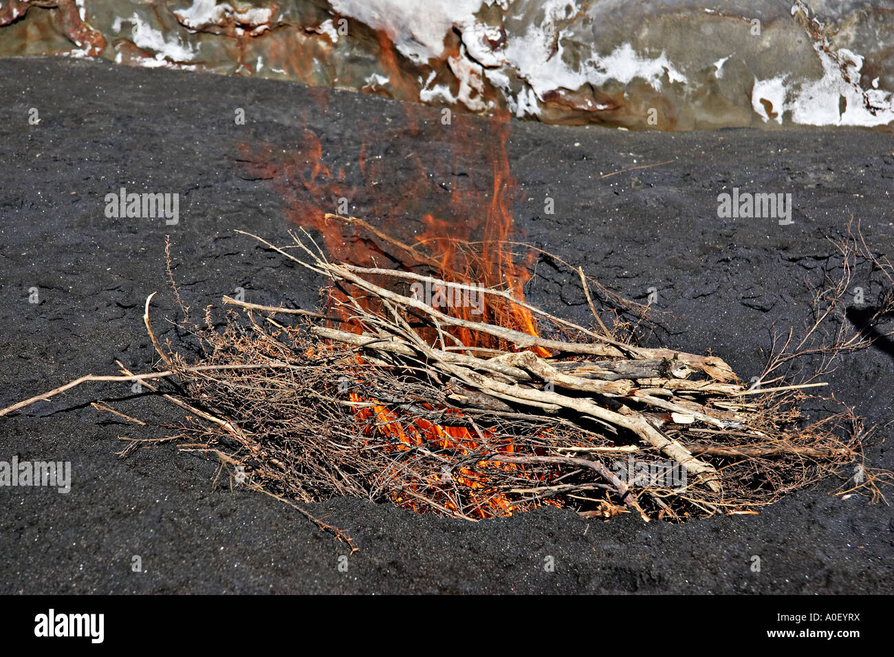 Maori new zealand fire hi-res stock photography and images - Alamy