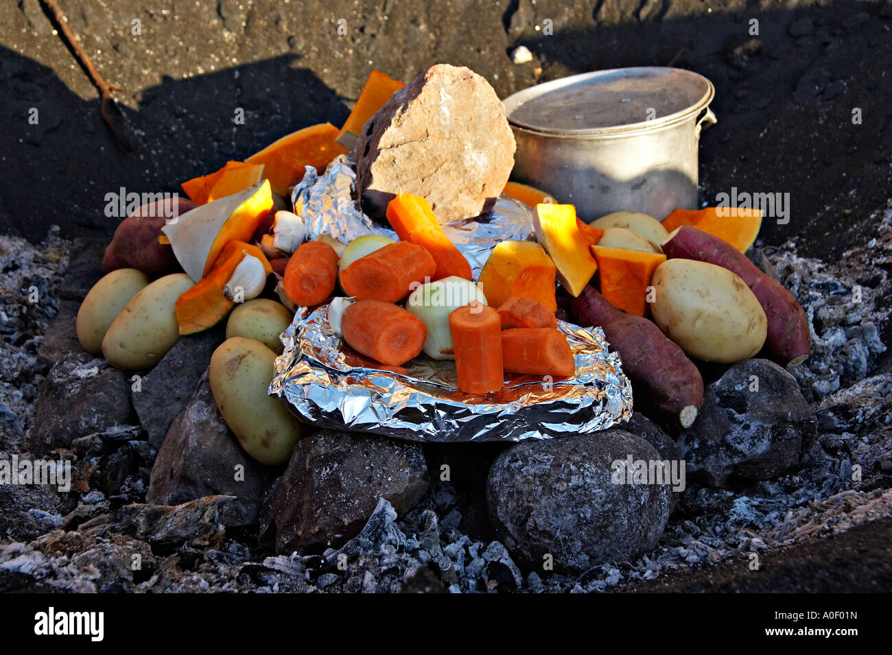 Maori Hangi Feast Traditional Hanga New Zealand KQJJX Maori Hangi Feast Traditional Hanga New Zealand KQJJX