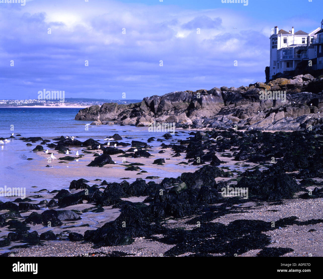 Rocky coastal edge St Ives, Cornwall, UK Stock Photo - Alamy
