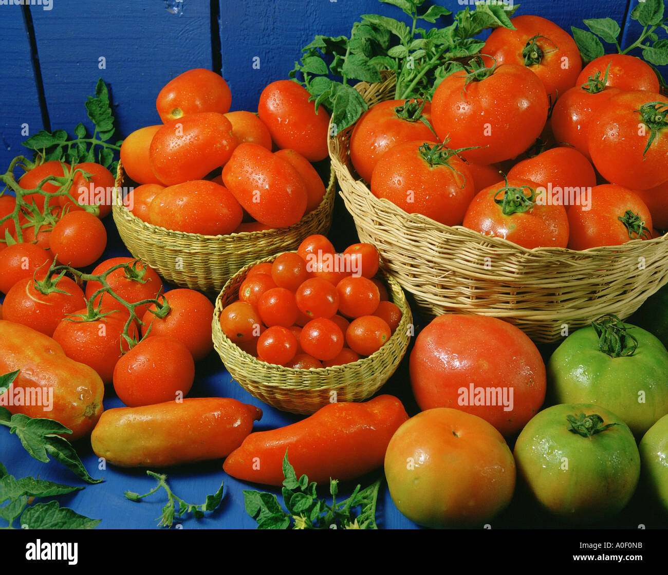 Assorted tomatoes hi-res stock photography and images - Alamy