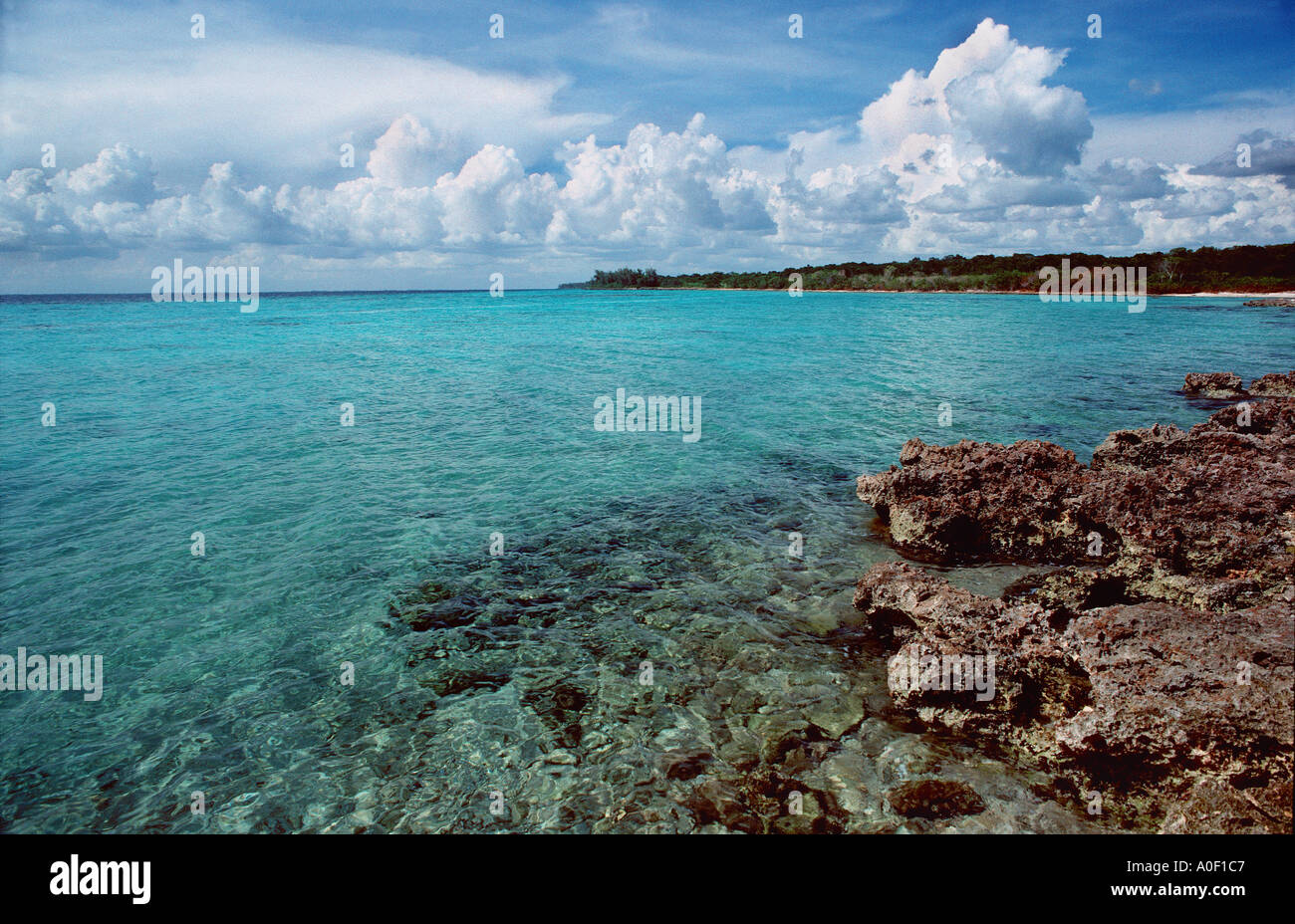 carribean sea Cuba Kuba karibik caribic coral reef reef bay secluded ...