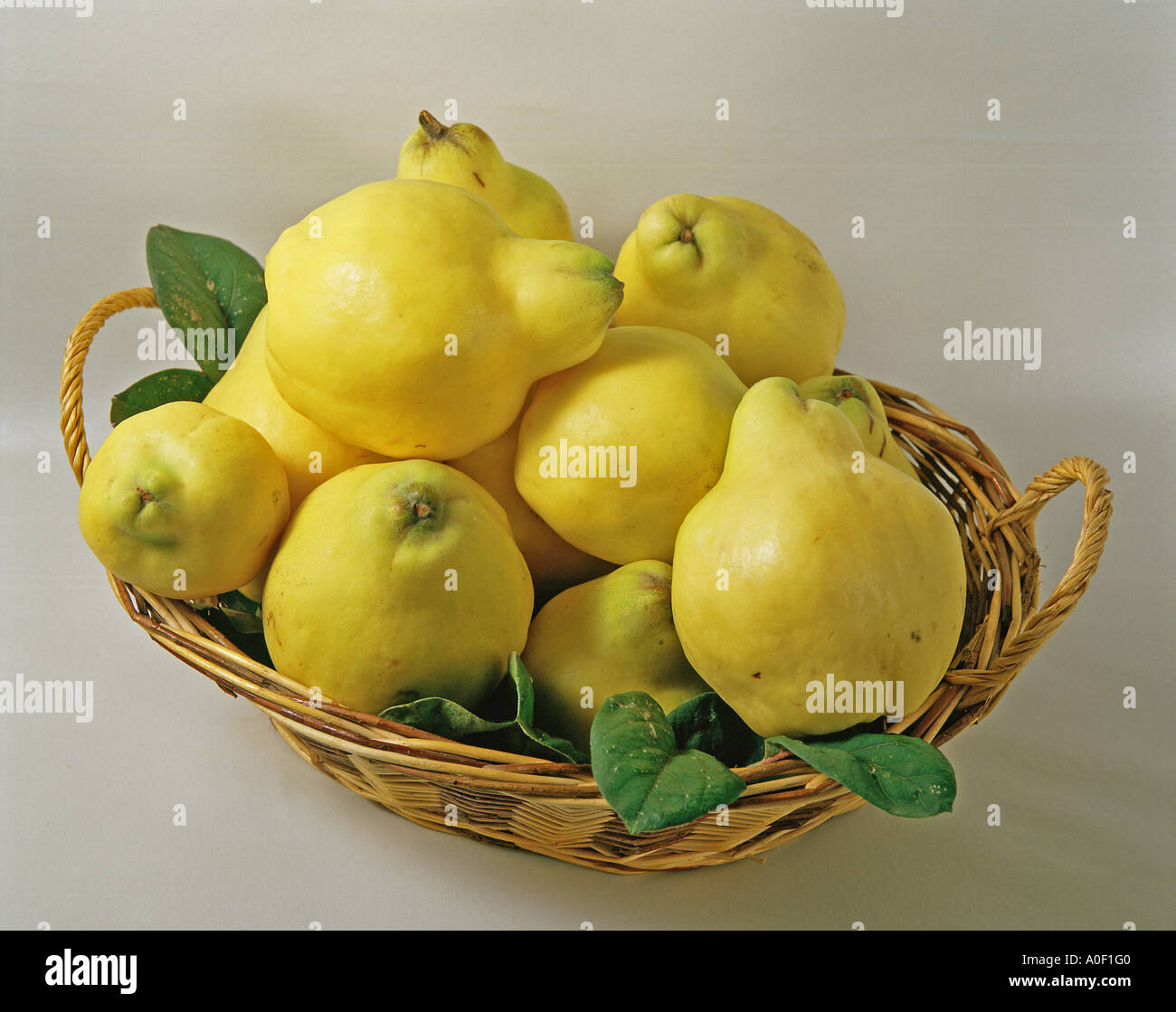 Many quinces hi-res stock photography and images - Alamy