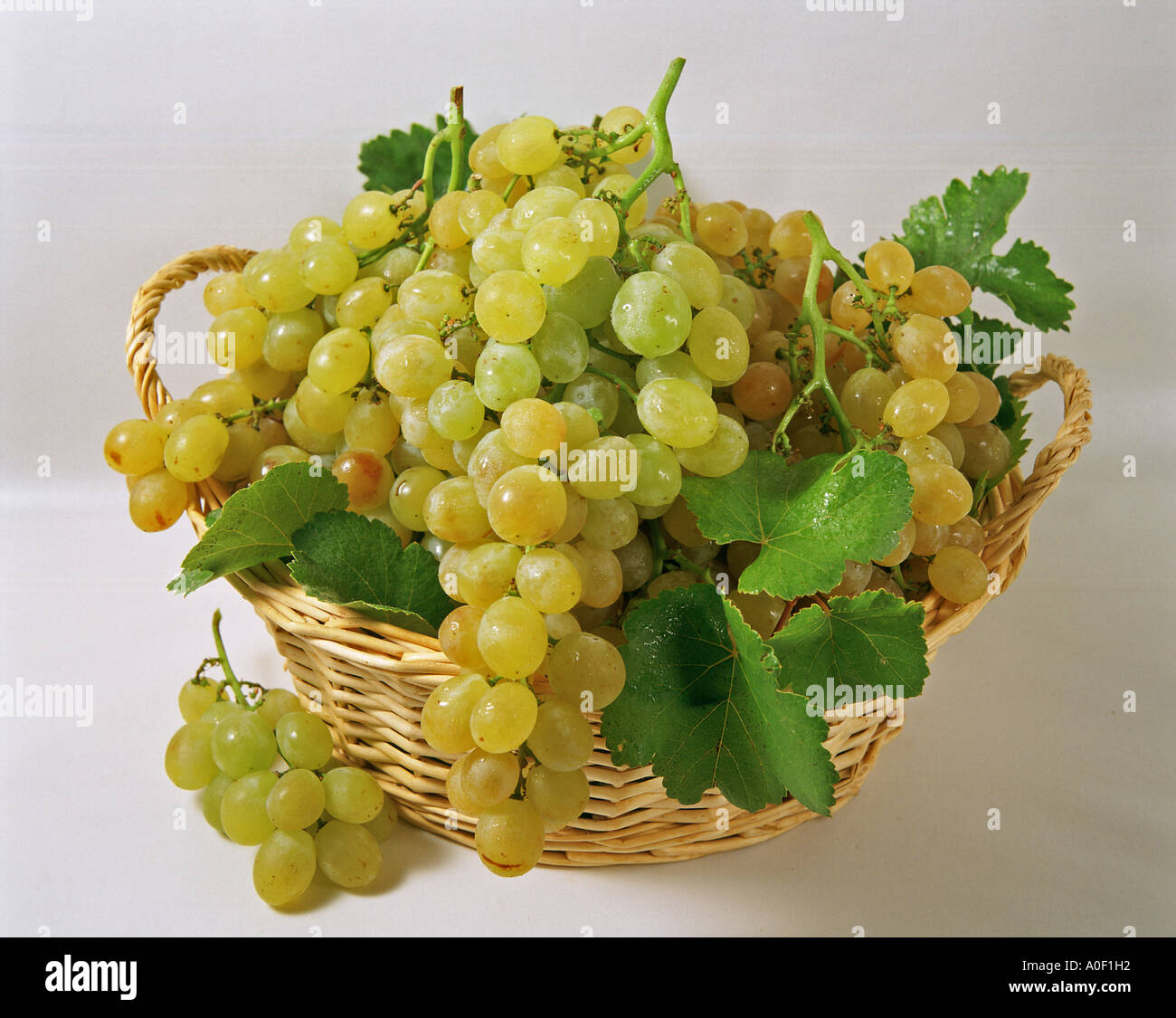 Golden grapes hi-res stock photography and images - Alamy