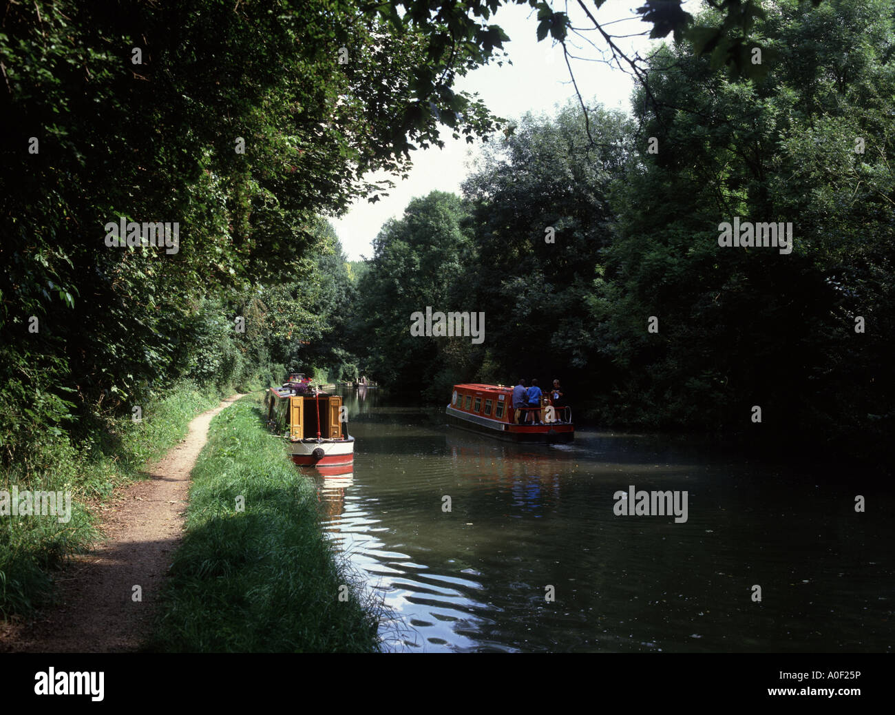 The tow path on the Grand Union Canal near Tring Stock Photo - Alamy