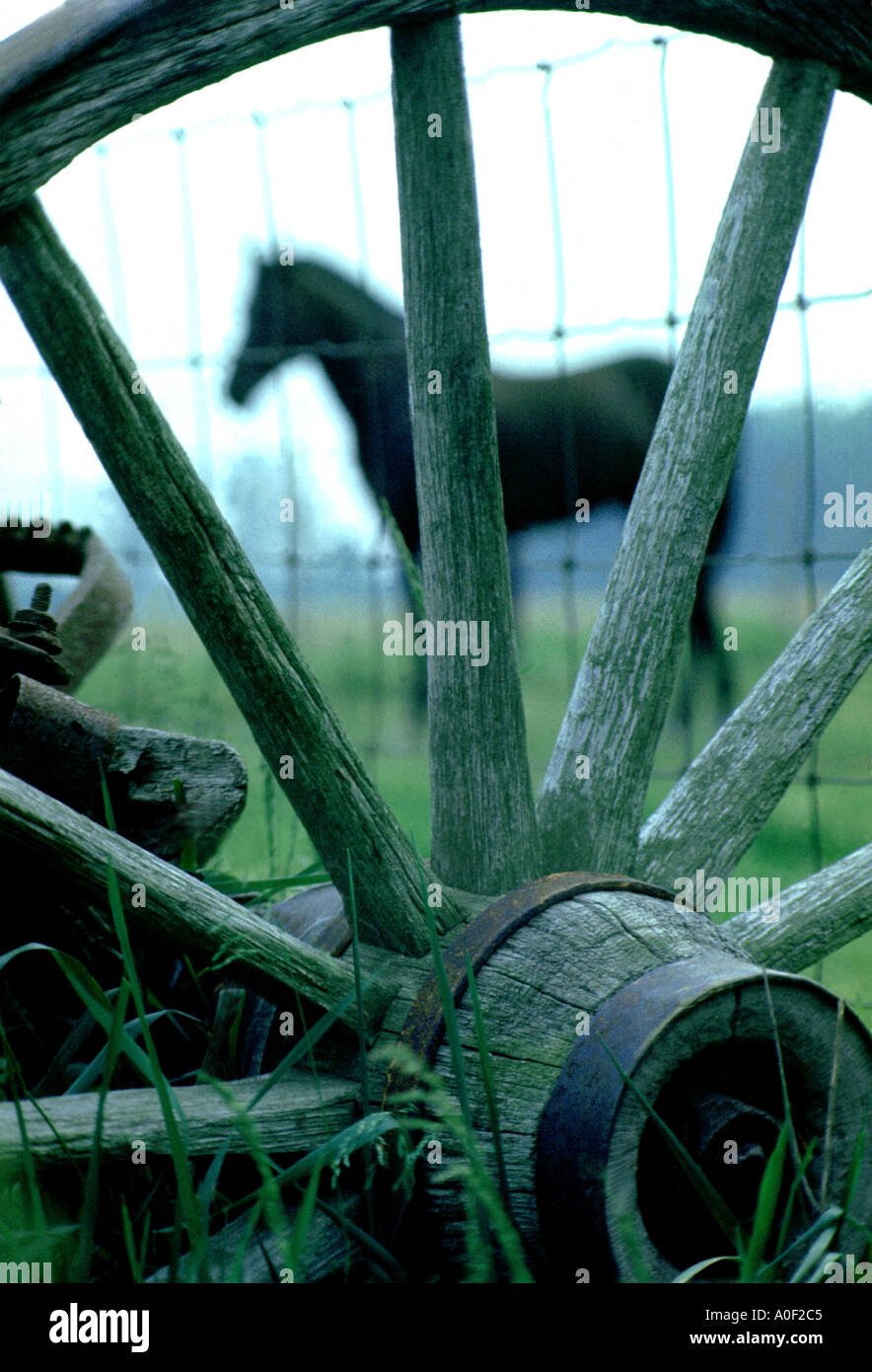 Horse and wagon wheel Stock Photo - Alamy