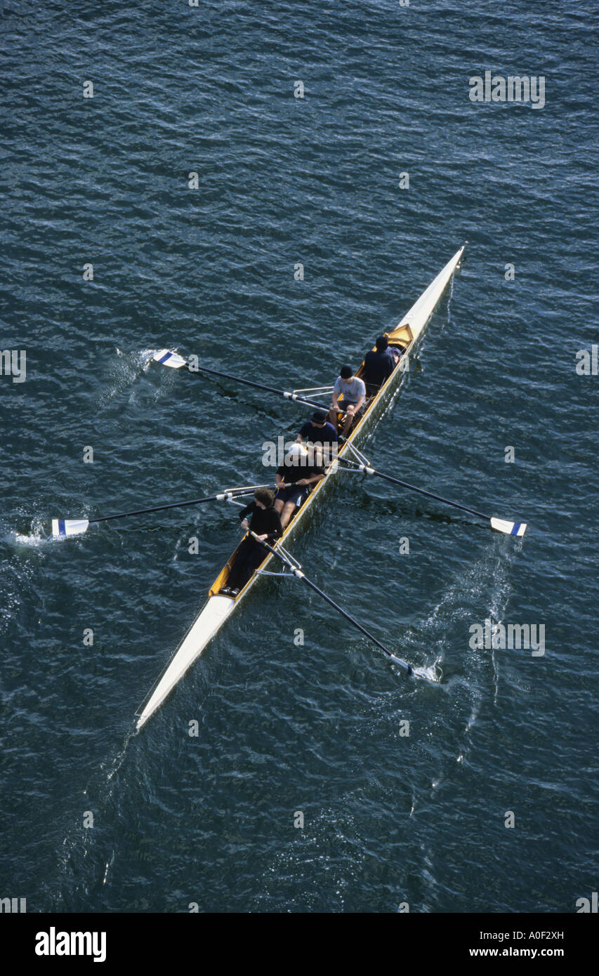 Disorganized rowing team Stock Photo - Alamy
