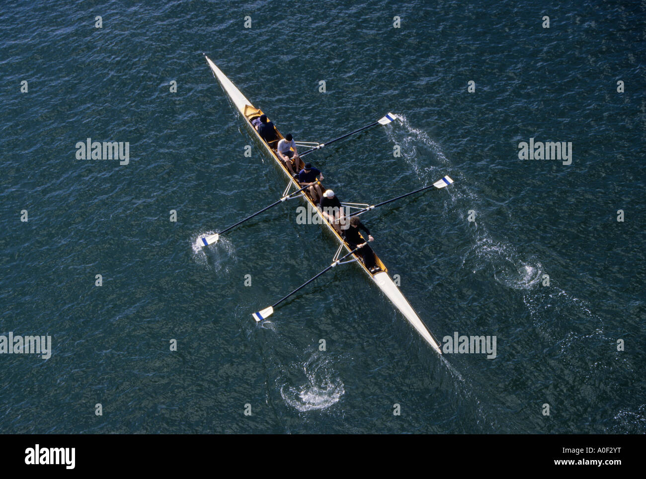 Rowing Teamwork Exercise Coordination Stock Photos & Rowing Teamwork ...