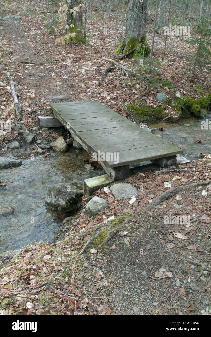 Wooden Foot Bridge on Hale Brook Trail Located in the White Mountain ...