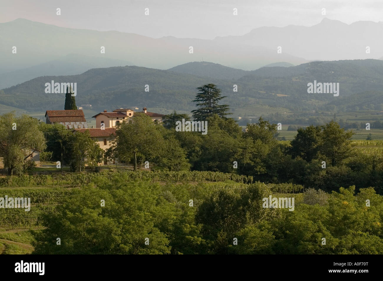 Collio region hi-res stock photography and images - Alamy