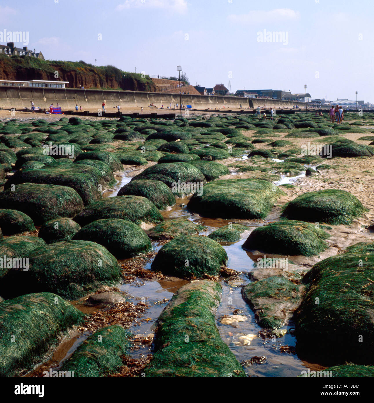 Carstone hi-res stock photography and images - Alamy