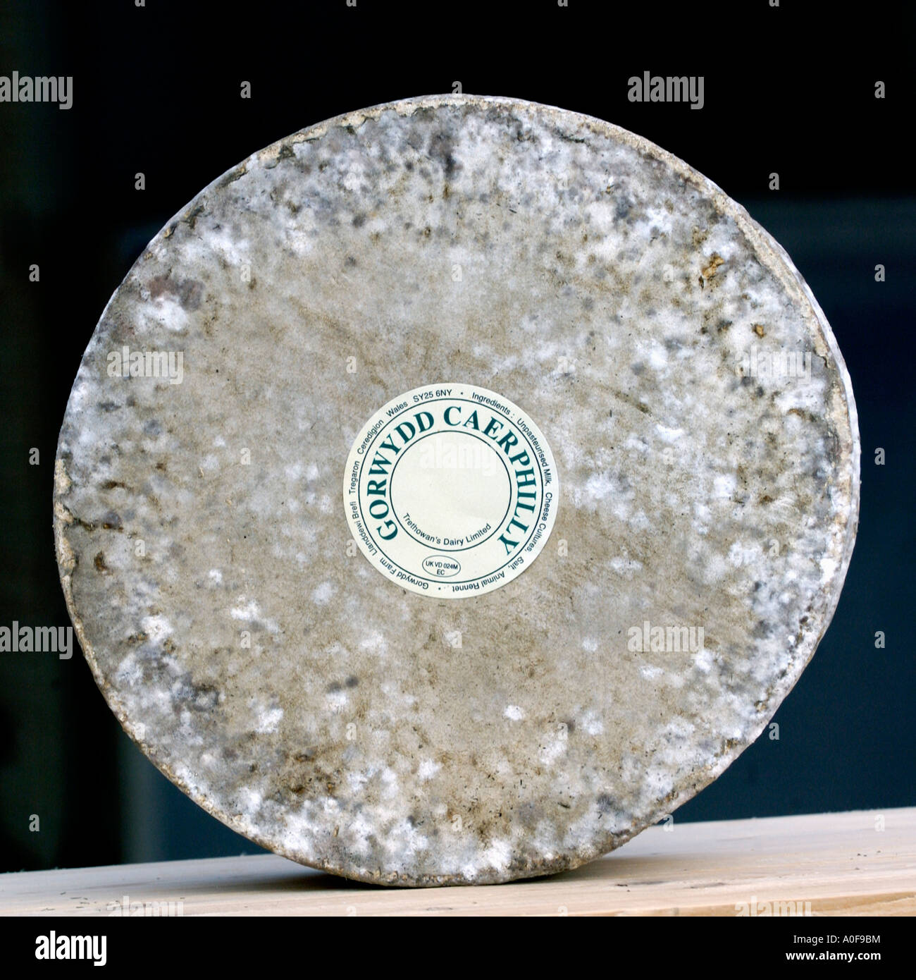 Welsh caerphilly cheese uk hi-res stock photography and images - Alamy