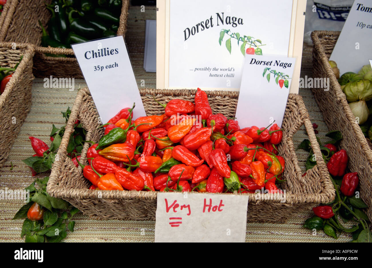 The worlds hottest chilli the DORSET NAGA on sale at the annual ...