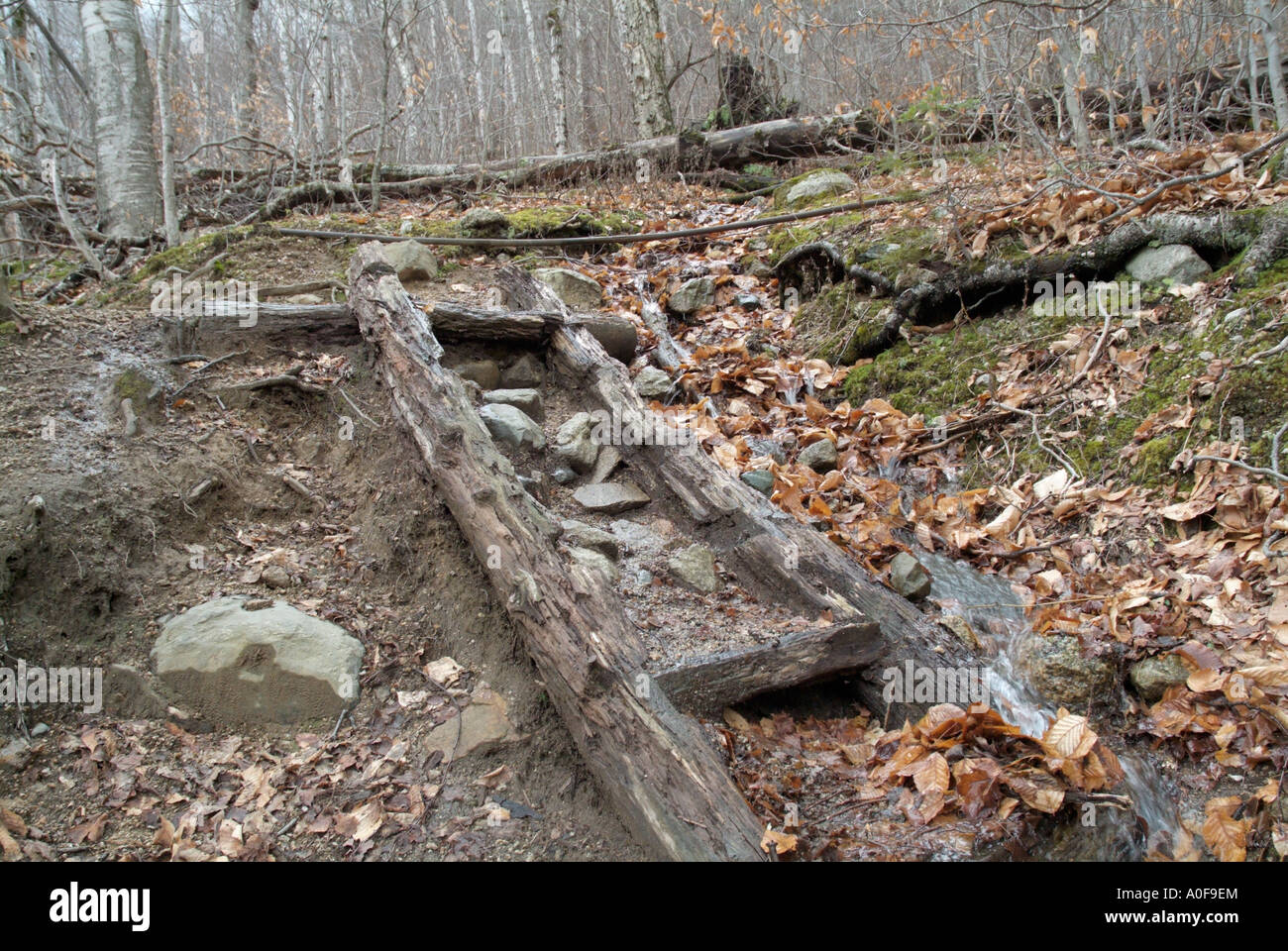 Rotten stairs hi-res stock photography and images - Alamy