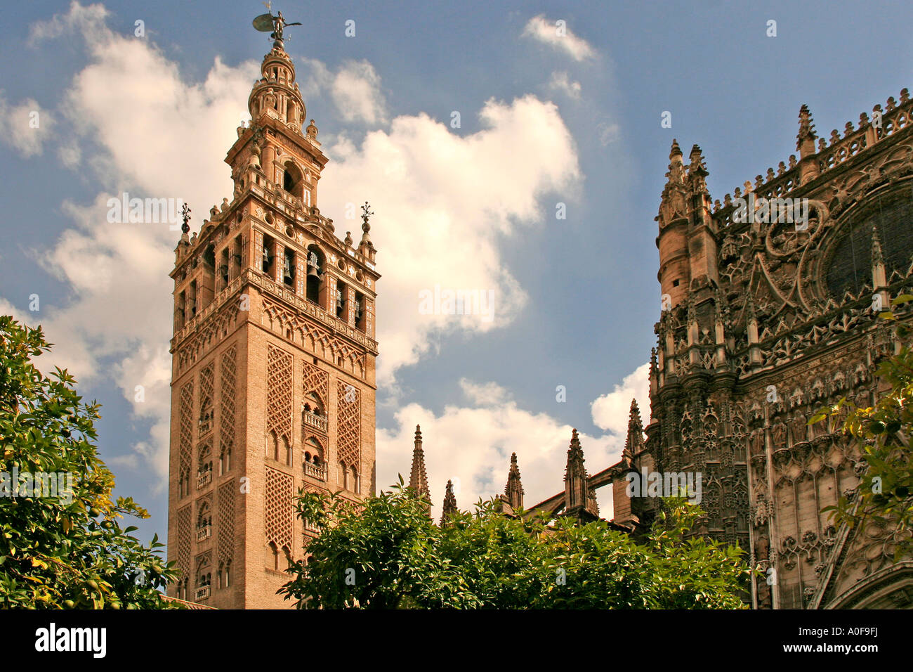 La Catedral Y La Giralda Cathedral and Giralda Tower Seville Andalucia ...