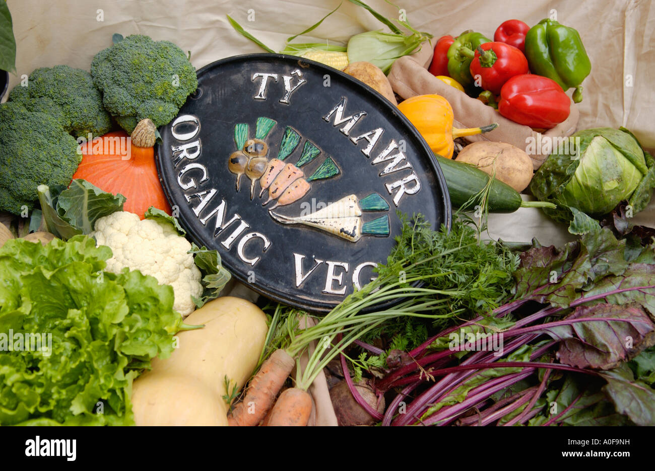 Locally Grown Vegetables Stock Photos & Locally Grown Vegetables Stock ...