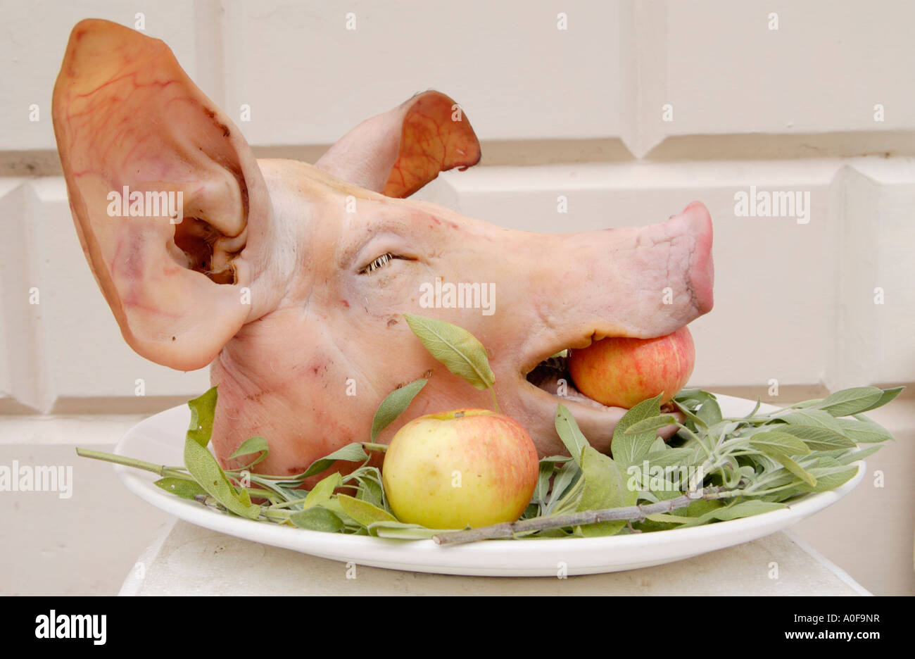 Pigs head by Harmony Herd of Newcastle Emlyn at the annual Abergavenny ...
