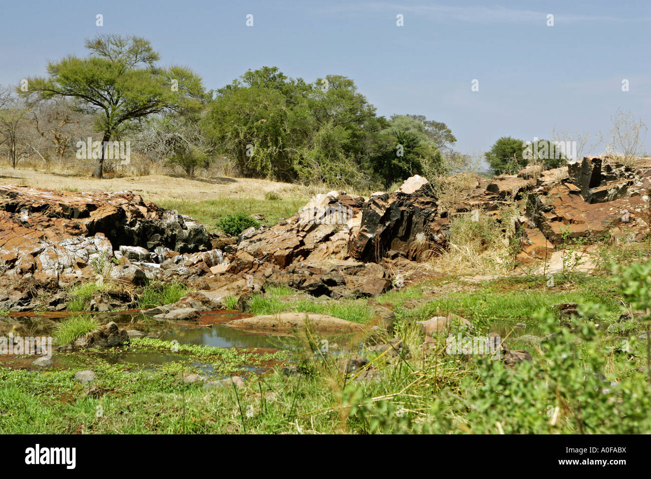 Miomba hi-res stock photography and images - Alamy