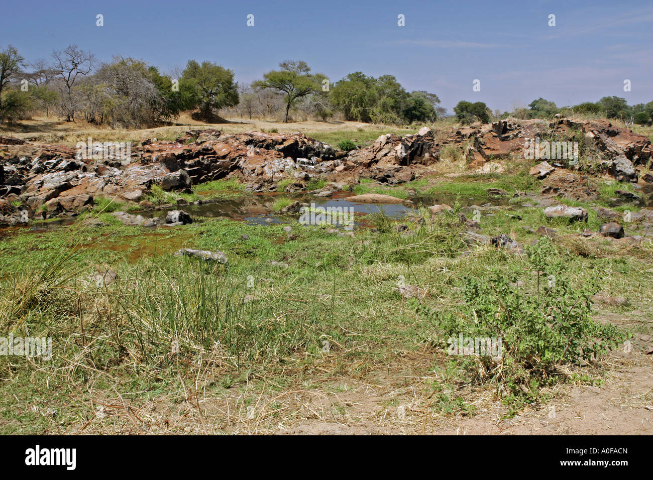 Miomba hi-res stock photography and images - Alamy