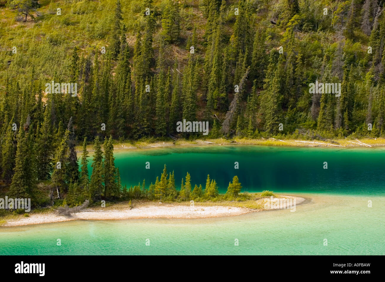 View of the green waters of Emerald Lake in the Yukon Territory, Canada ...