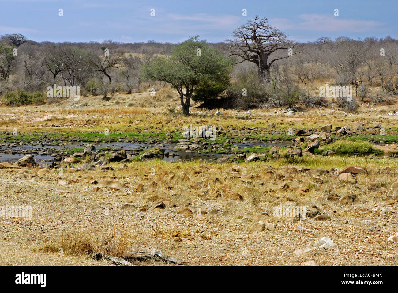 Ruaha National Park Tanzania Ruaha river landscape Stock Photo - Alamy