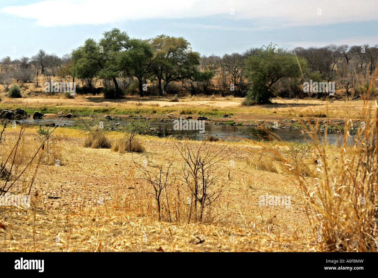 Ruaha National Park Tanzania Ruaha river landscape Stock Photo - Alamy