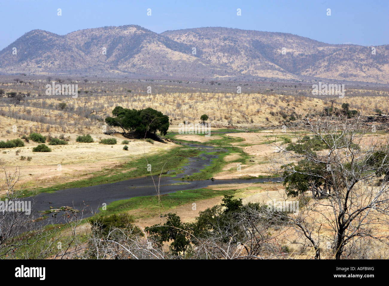 Ruaha National Park Tanzania Ruaha River valley and escarpment Stock ...