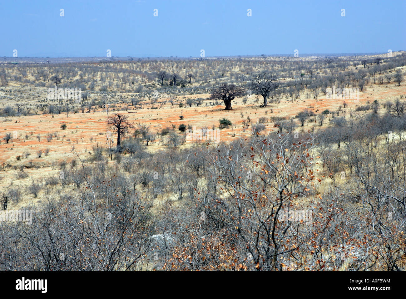 Ruaha National Park Tanzania Ruaha valley landscape Stock Photo - Alamy