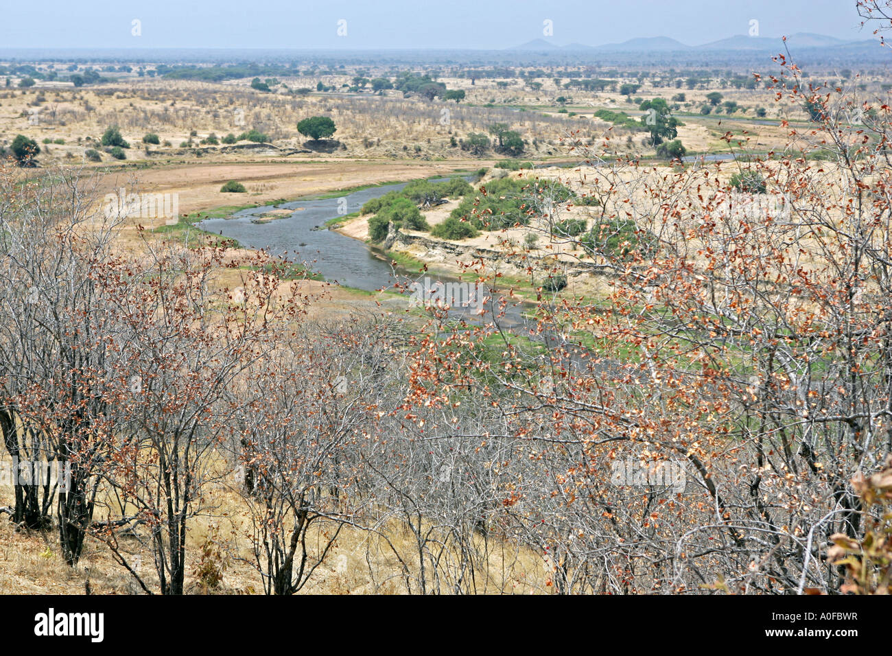 Ruaha National Park Tanzania landscape: Ruaha River valley Stock Photo ...