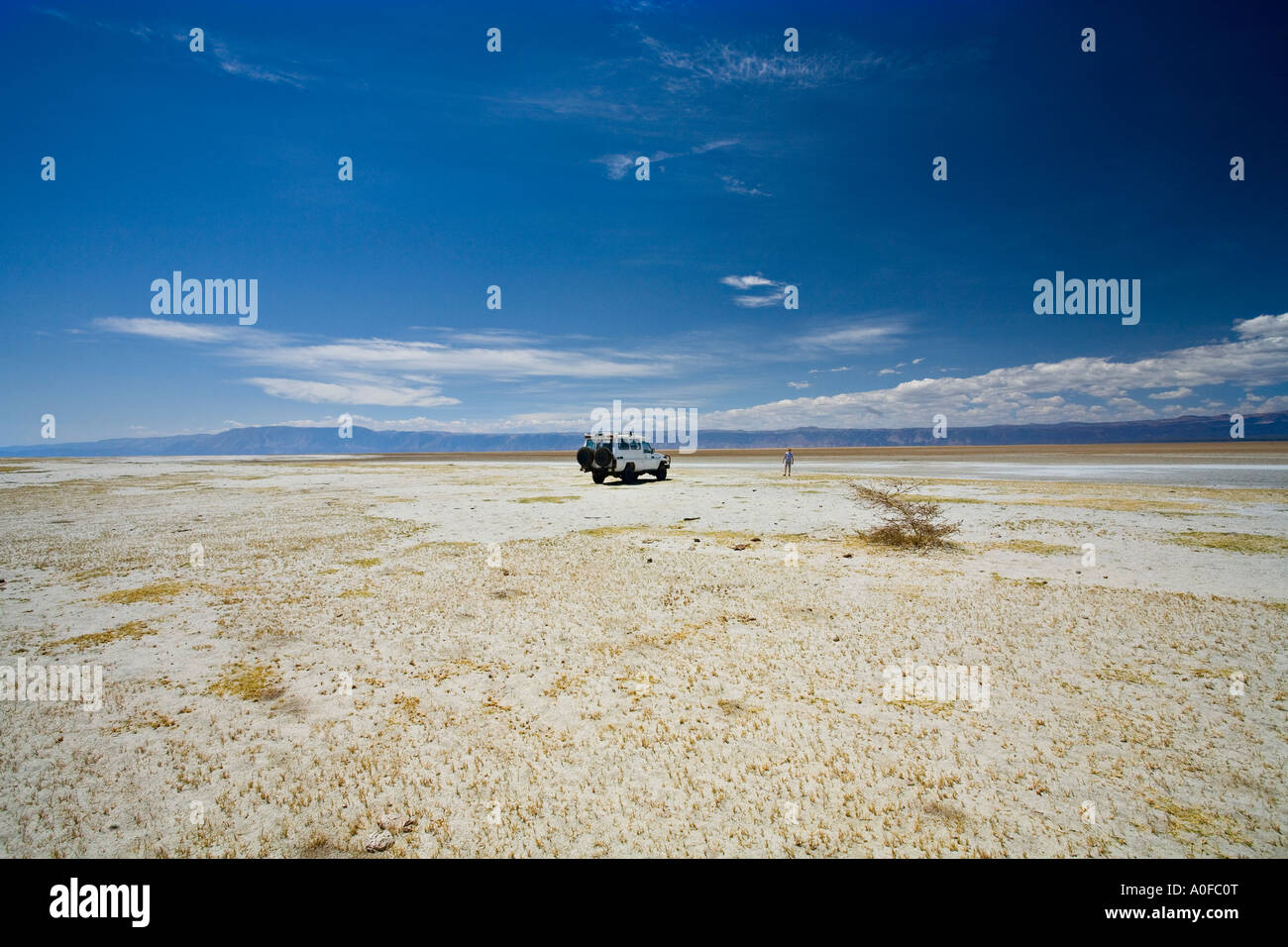Lake Eyasi in a dry season, Tanzania, Africa Stock Photo - Alamy