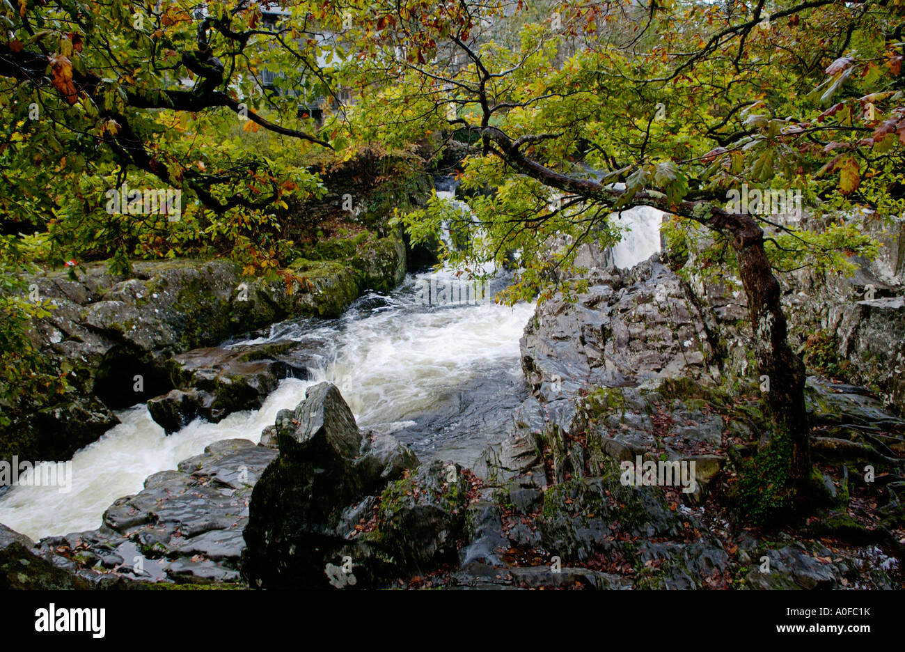 Fast Flowing River Uk High Resolution Stock Photography and Images - Alamy