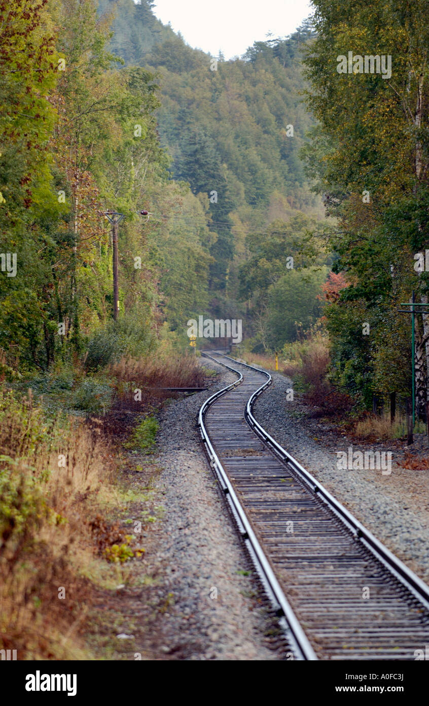 View down railway lines between trees in forestry at Betws y Coed ...