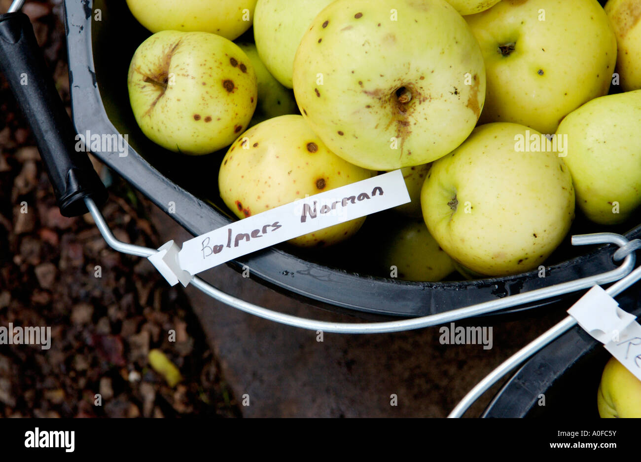 Bulmers hi-res stock photography and images - Alamy