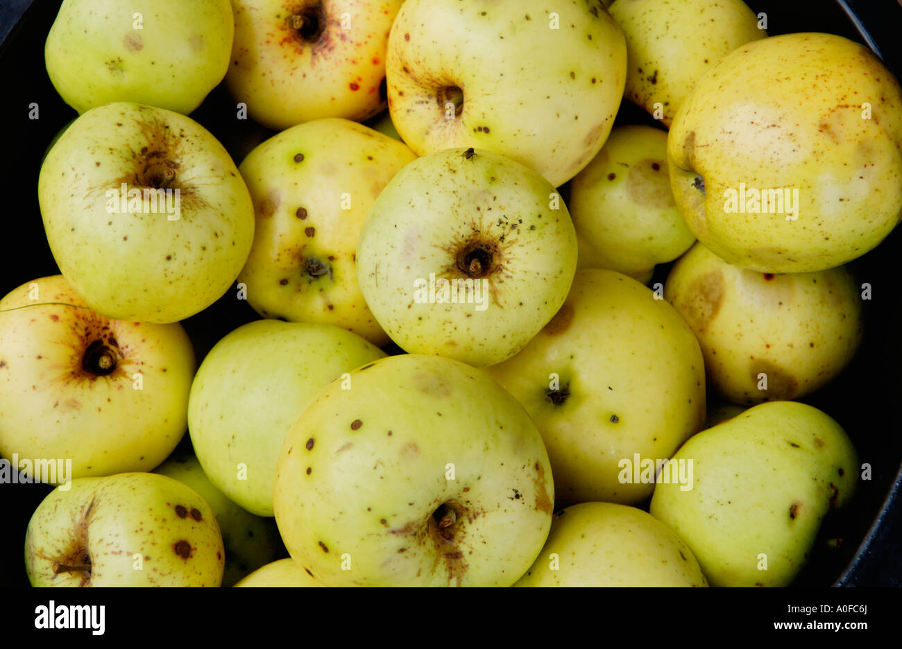 Bulmers hi-res stock photography and images - Alamy