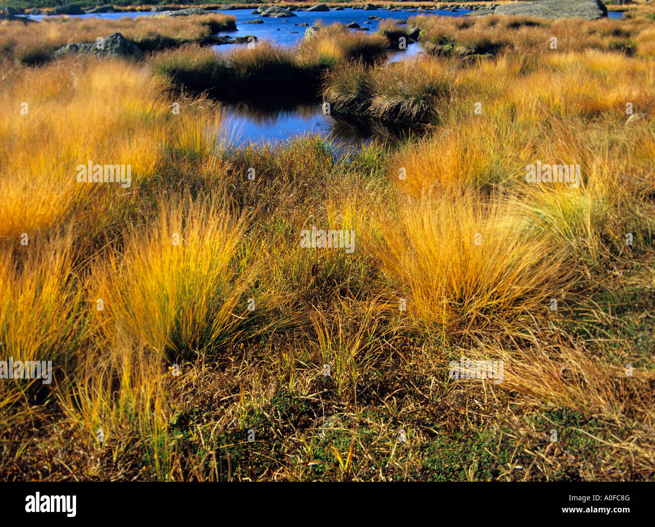 Star Lake, which is located near Mount Madison in the Presidential ...