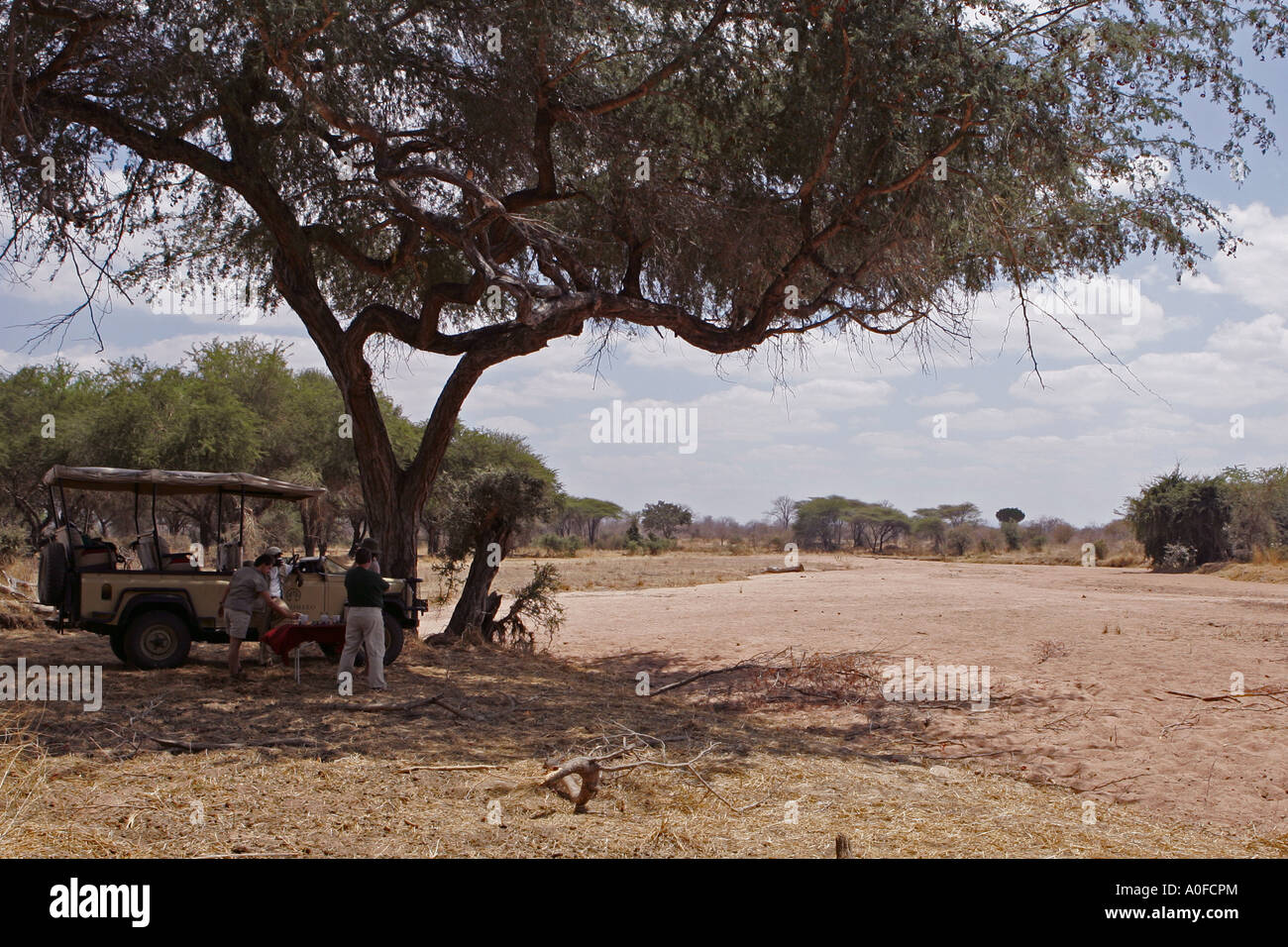 Ruaha National Park Tanzania miombo woodland landscape dry river ...
