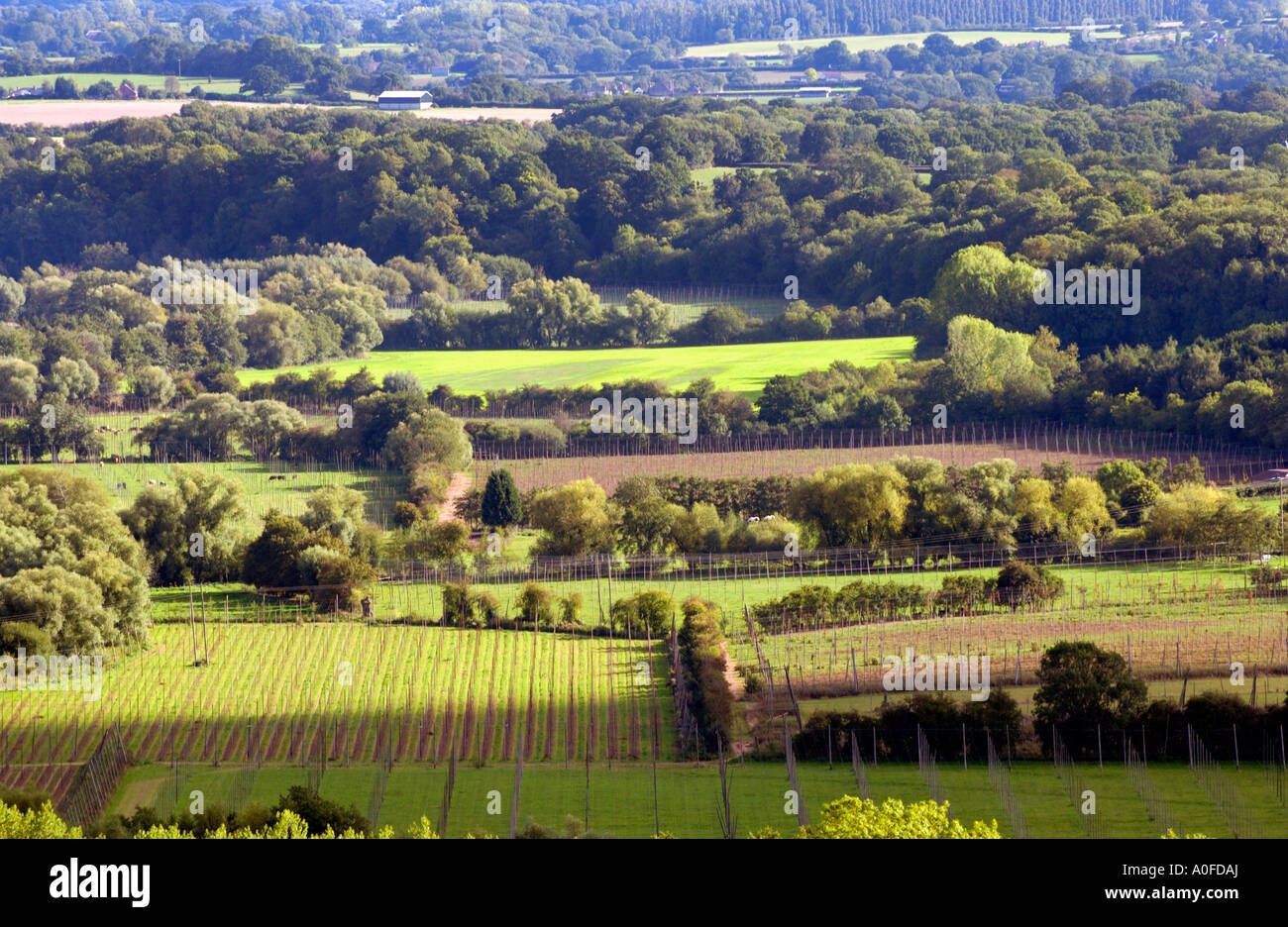 Knightwick hi-res stock photography and images - Alamy