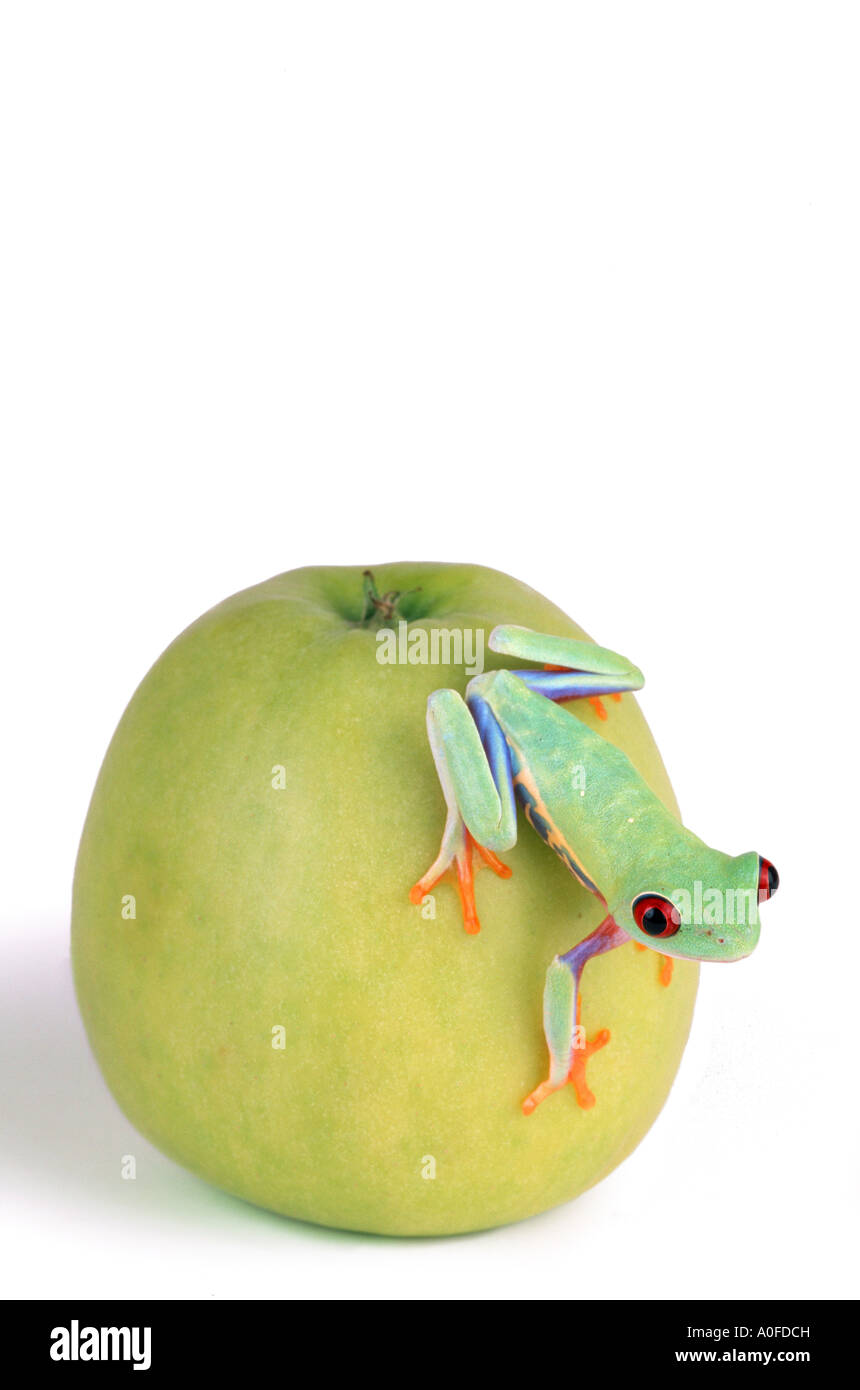 Weird apples hi-res stock photography and images - Alamy
