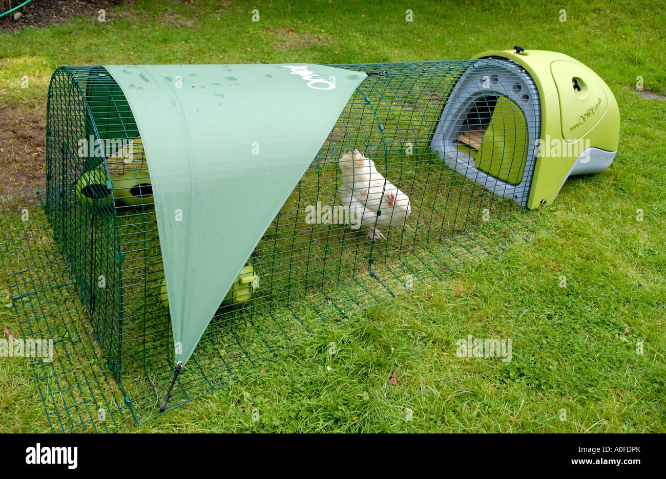 Omlet chicken run on lawn in garden of house UK GB EU Stock Photo - Alamy