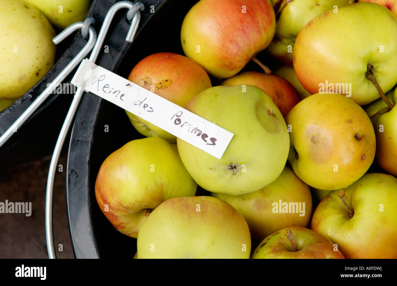 British Apple Varieties High Resolution Stock Photography and Images ...