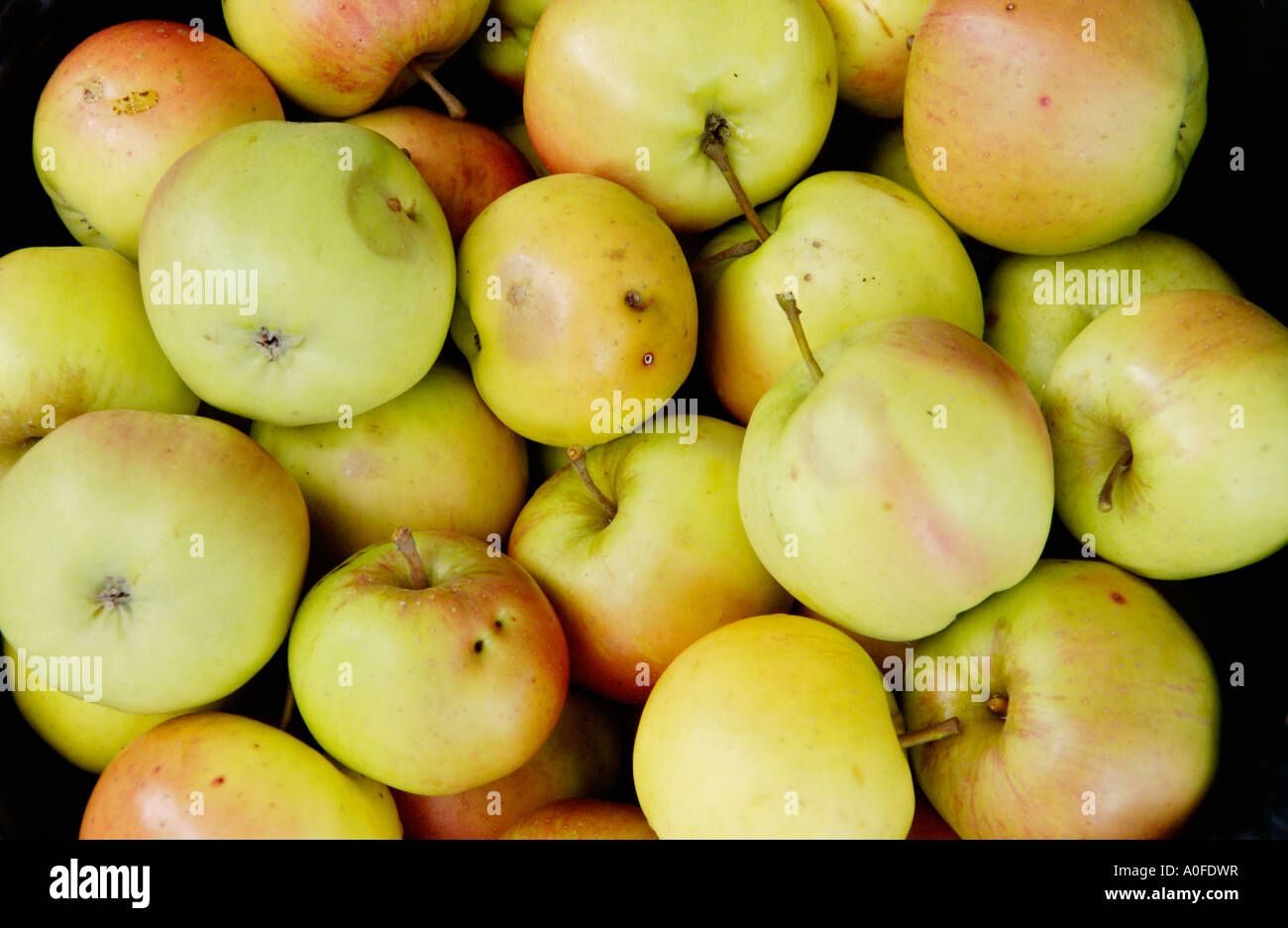 British apple varieties hi-res stock photography and images - Alamy