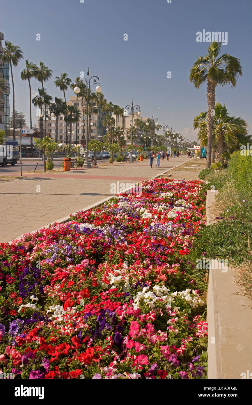 Cyprus visitors walk along Larnaca palm lined sea front promenade Stock ...