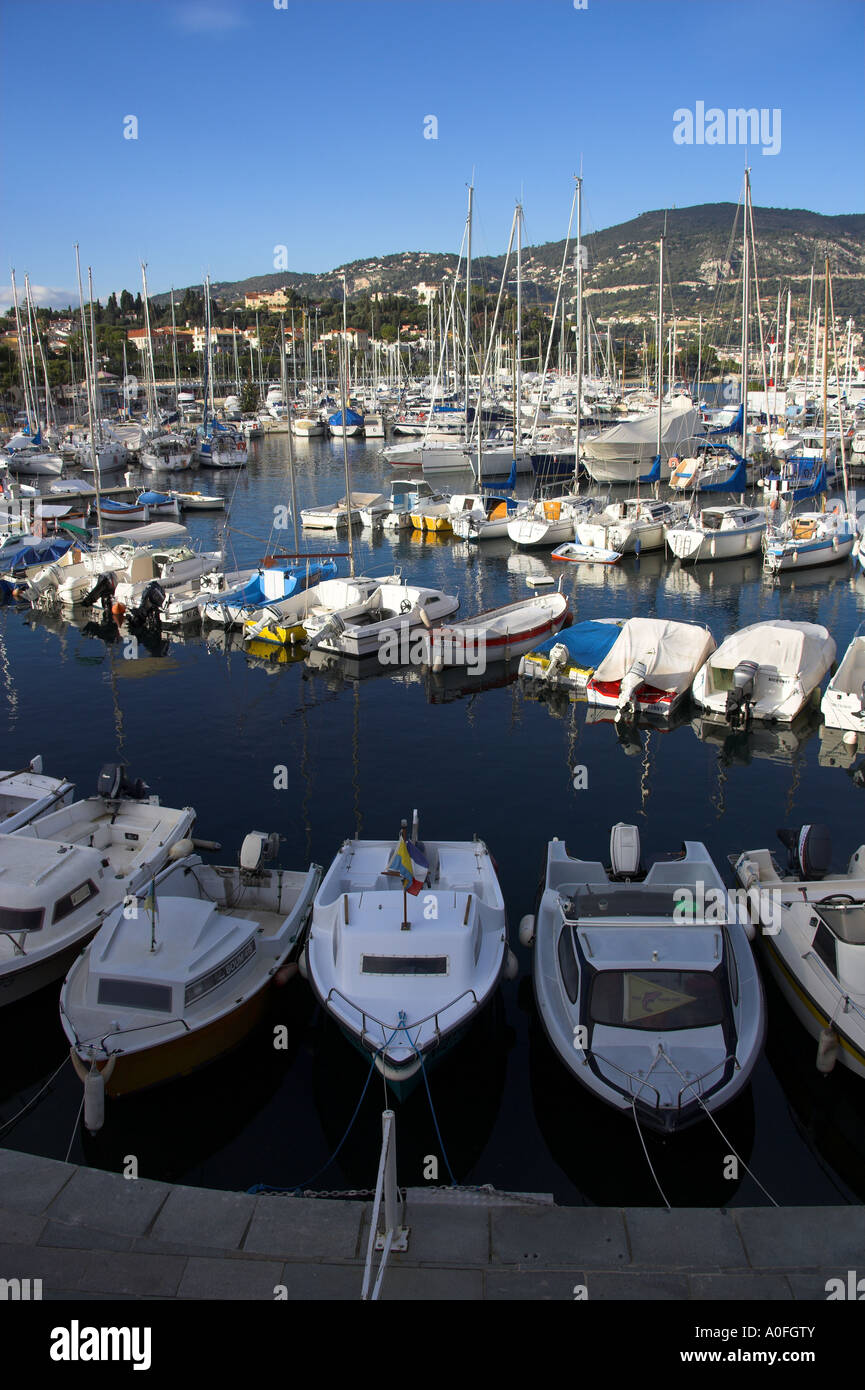 Feret hi-res stock photography and images - Alamy