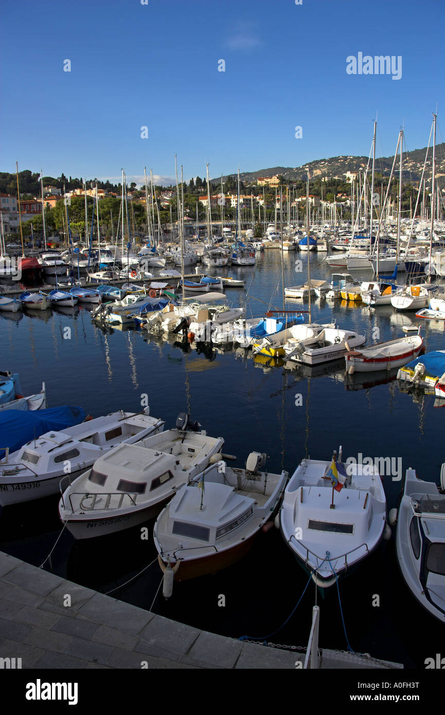 Feret hi-res stock photography and images - Alamy