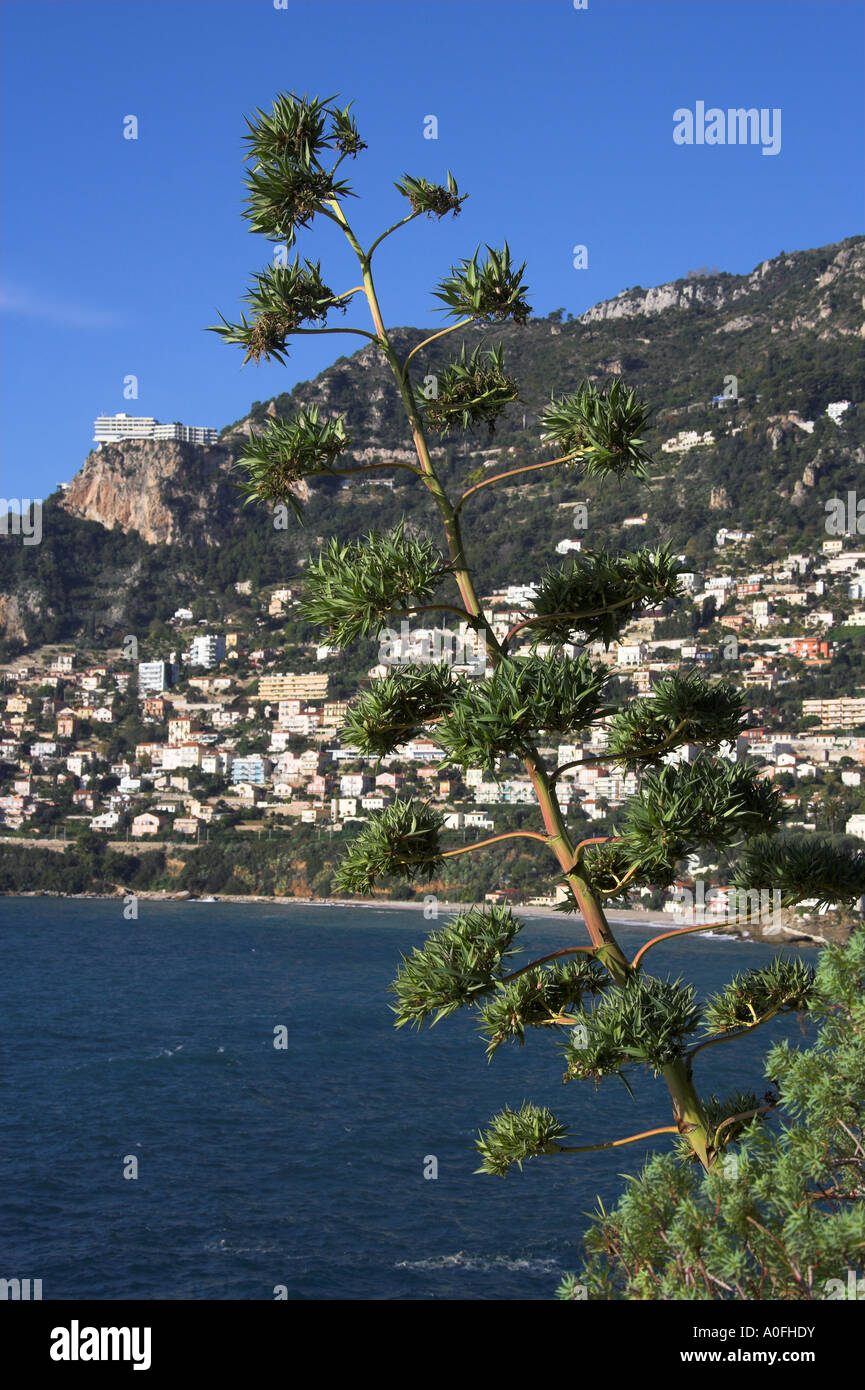 View of monte carlo from cap martin hi-res stock photography and images ...
