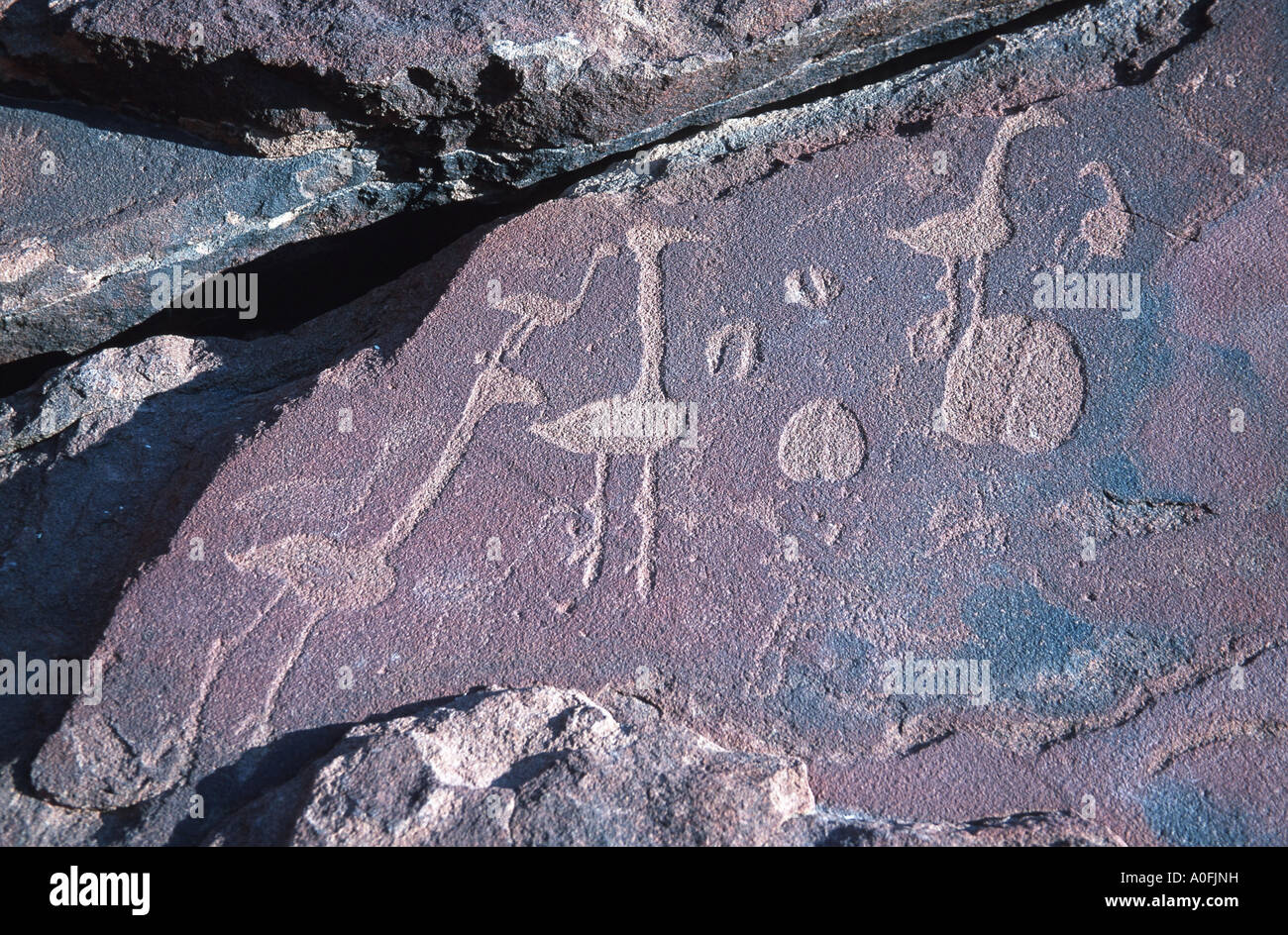 rock paintings, Namibia, Twyfelfontein Stock Photo - Alamy