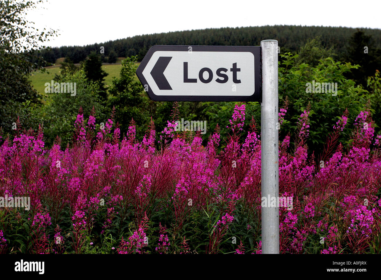 Lost signpost near Bellabeg, Strathdon, Scotland Stock Photo - Alamy