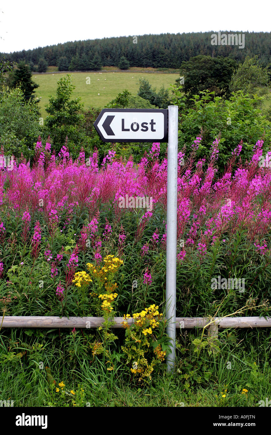 Map of grampian hi-res stock photography and images - Alamy