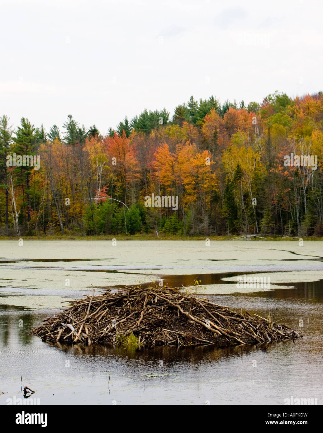 lake groton from owl s head mountain in the white mountains Stock Photo ...